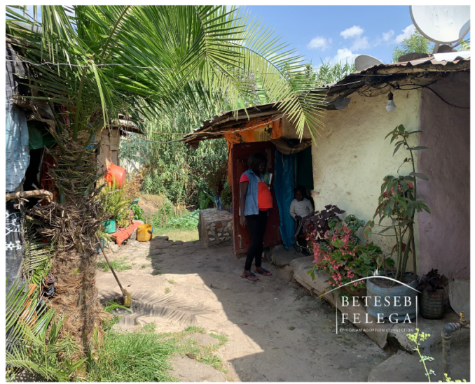 Media and Accolades | Ethiopian Family Search and Adoption Connection ...