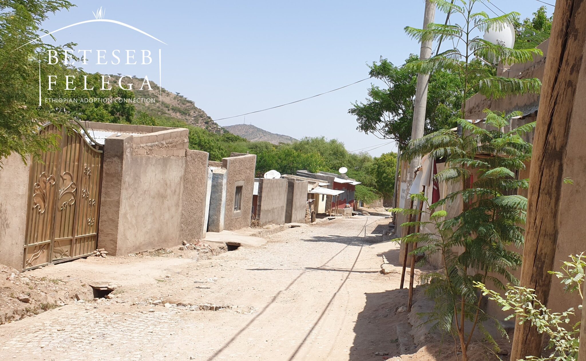 አማርኛ - ቤተሰብ ፍለጋ | Beteseb Felega | Ethiopian Adoption Connection