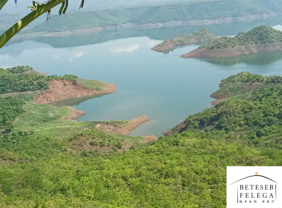 Database Guide | Beteseb Felega | Ethiopian Adoption Connection